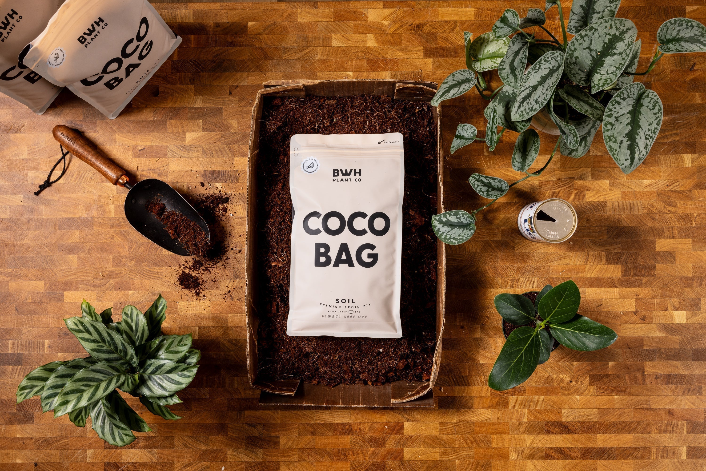 Coco Bag 101 – BWH Plant Co