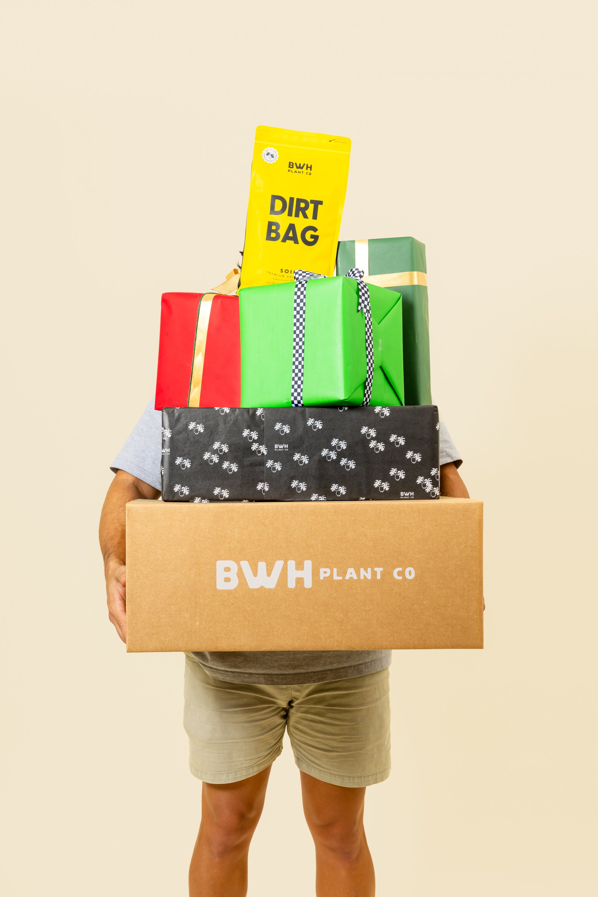 All Houseplants – BWH Plant Co