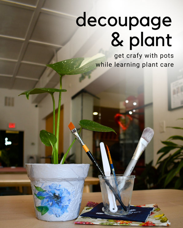 Draw, Plant, Play! Community Craft Night – BWH Plant Co