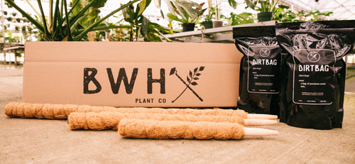 BWH Plant Co
